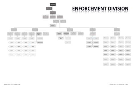 Organizational Structure | St Martin Parish Sheriff